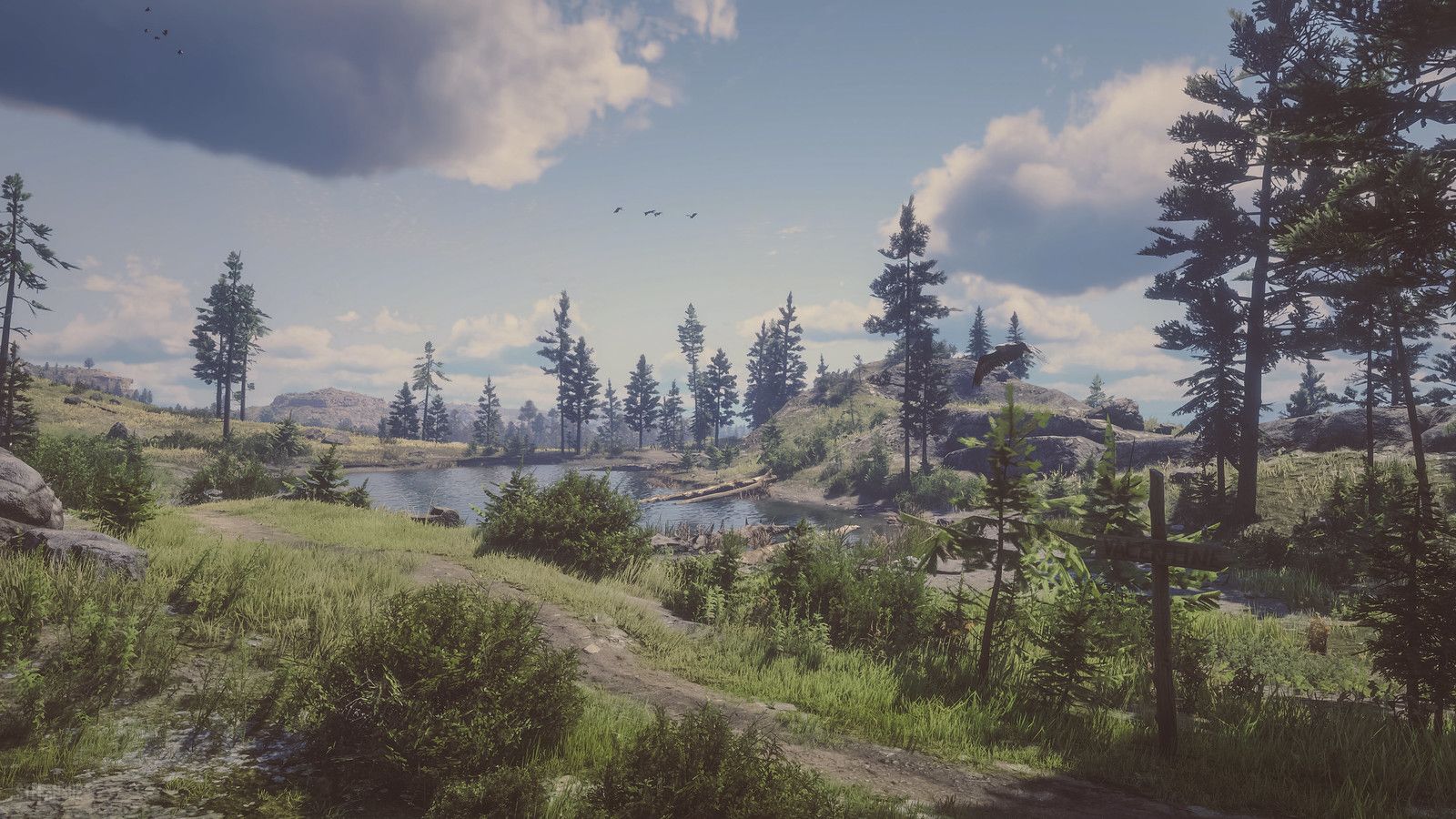 Deni Sahbegovic | CBR