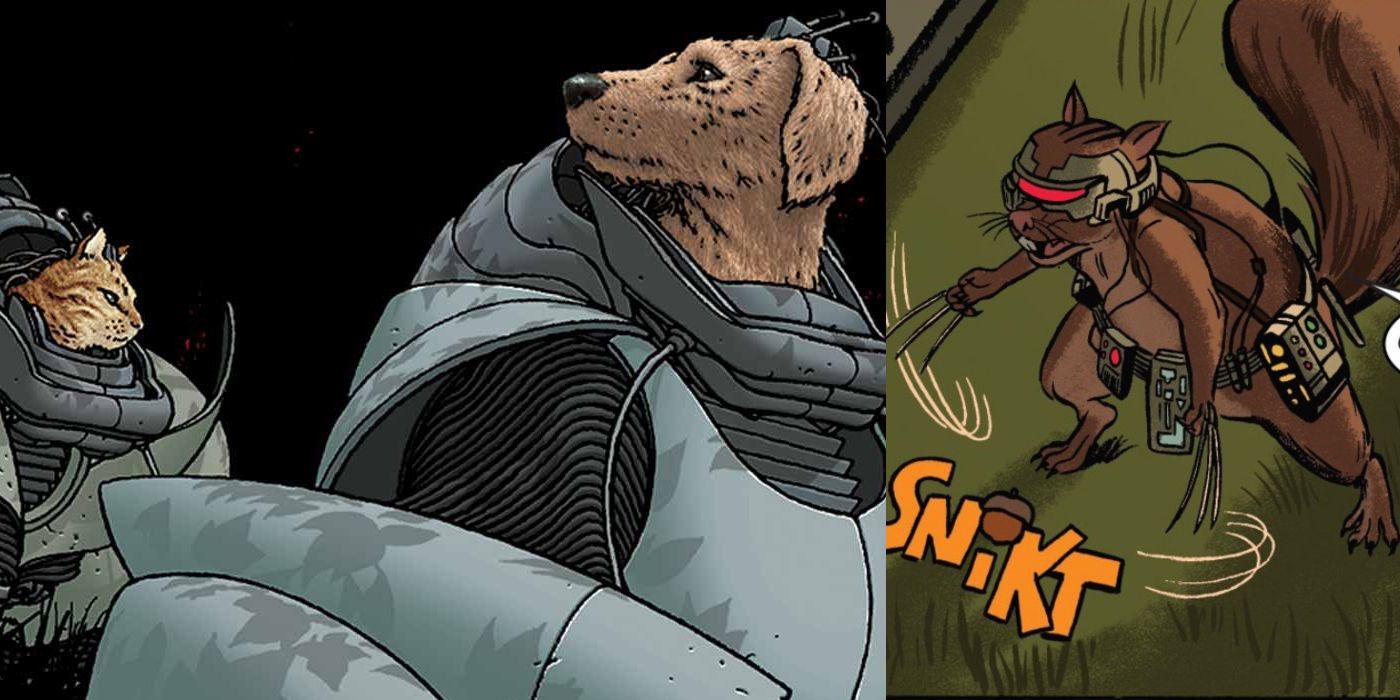 Weapon EX: 15 Graduates Of The Weapon Plus Program