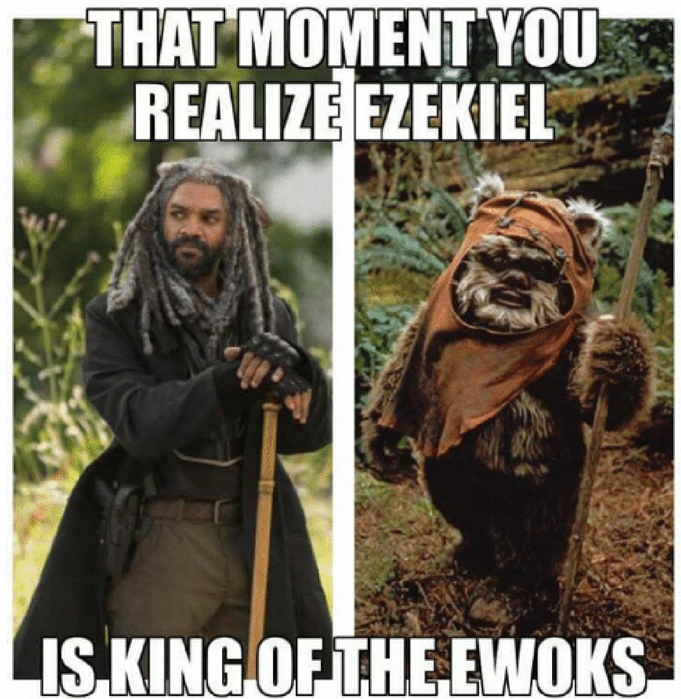 Savage Walking Dead Memes