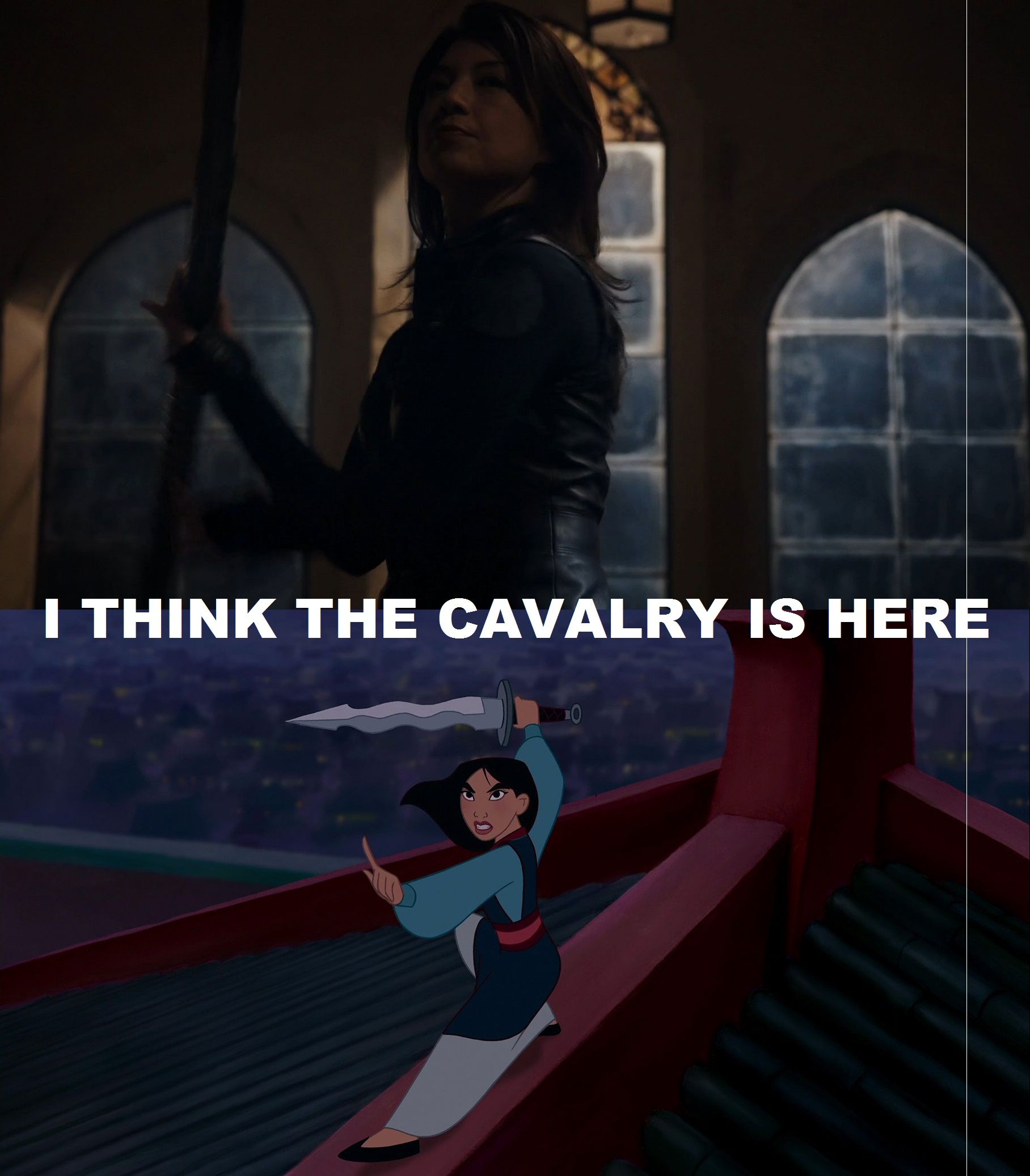 Agents Of S.H.I.E.L.D. Memes