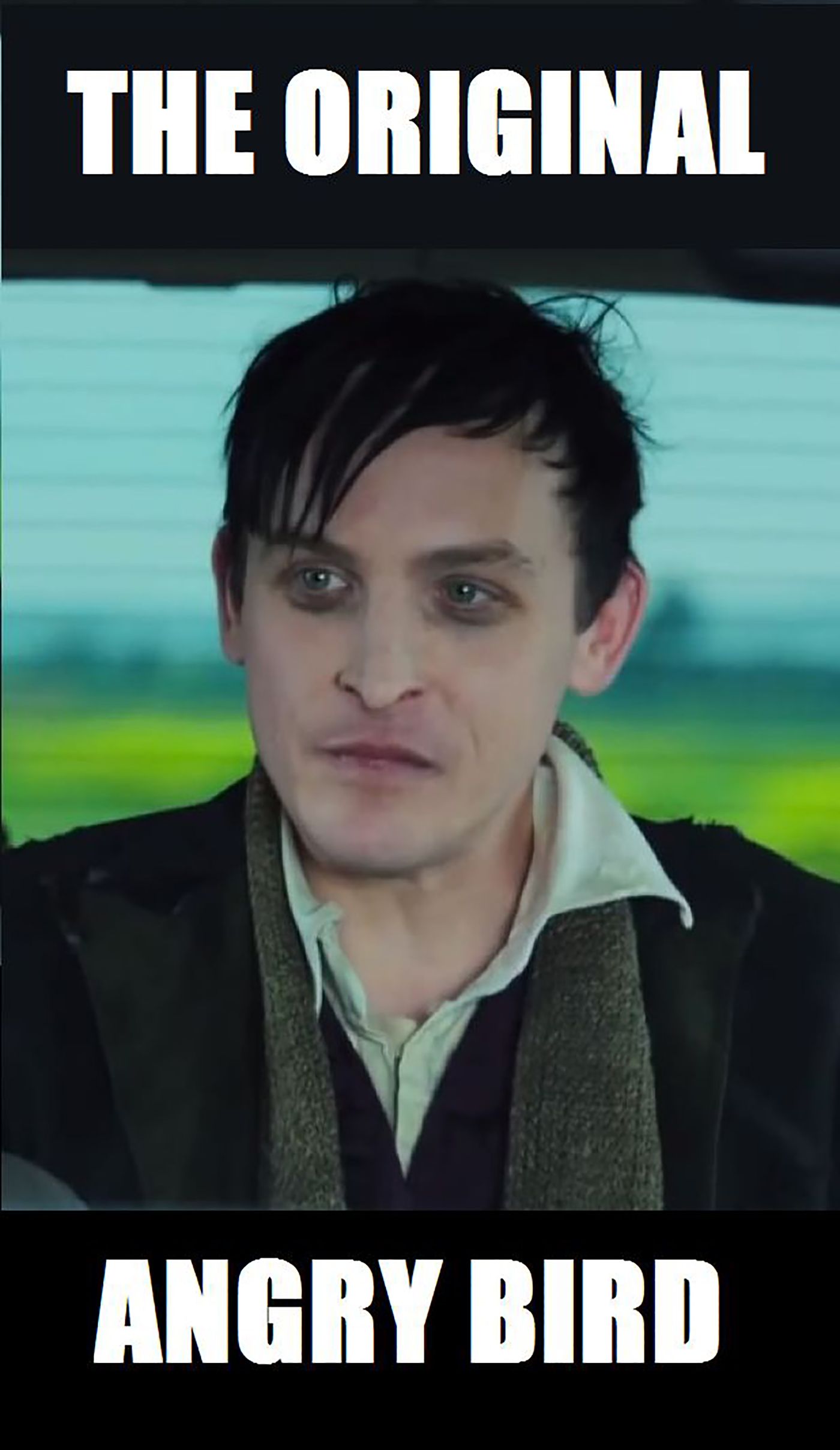 Penguin Gotham Memes