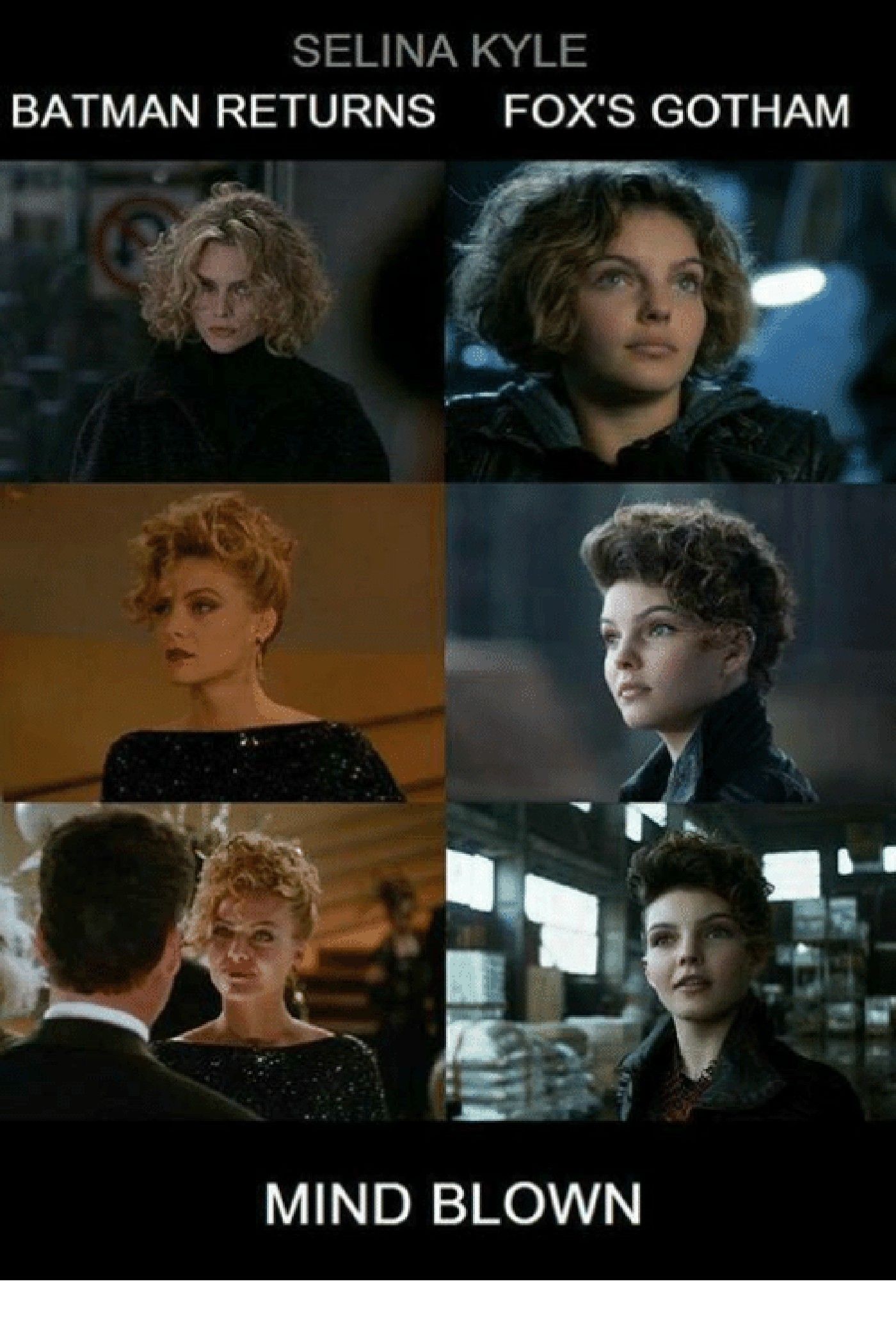Selina Kyle Memes
