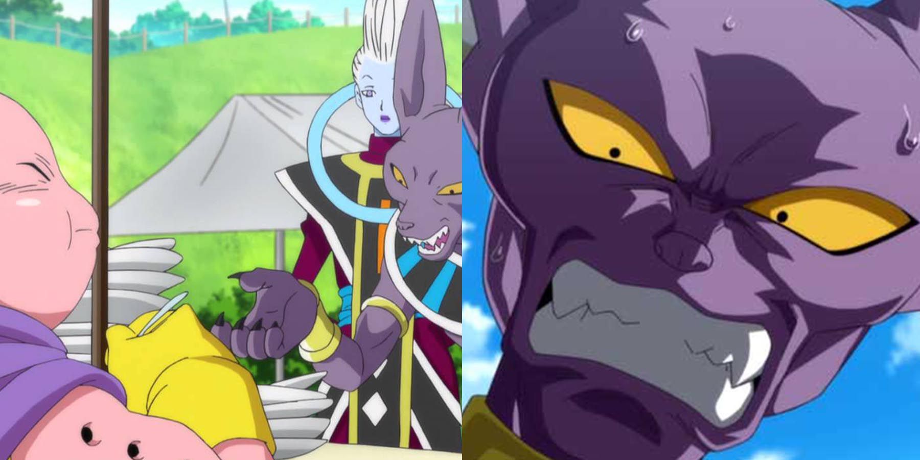 Secrets About Dragon Ball Super's Lord Beerus