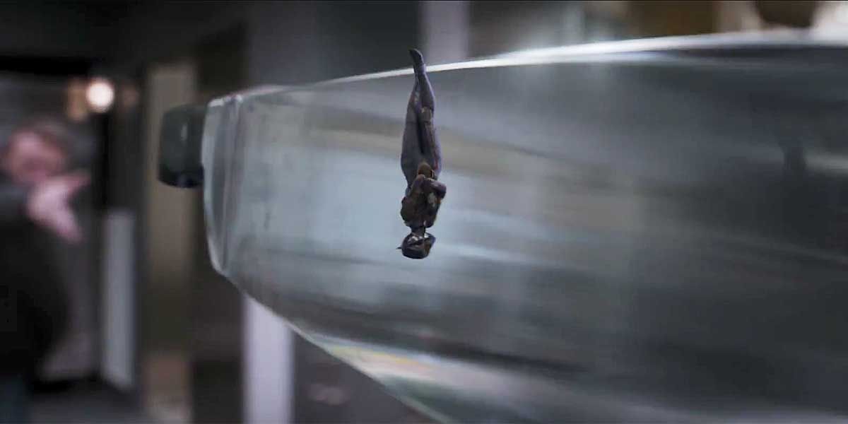 Things MCU Fans Need To Know About The Wasp