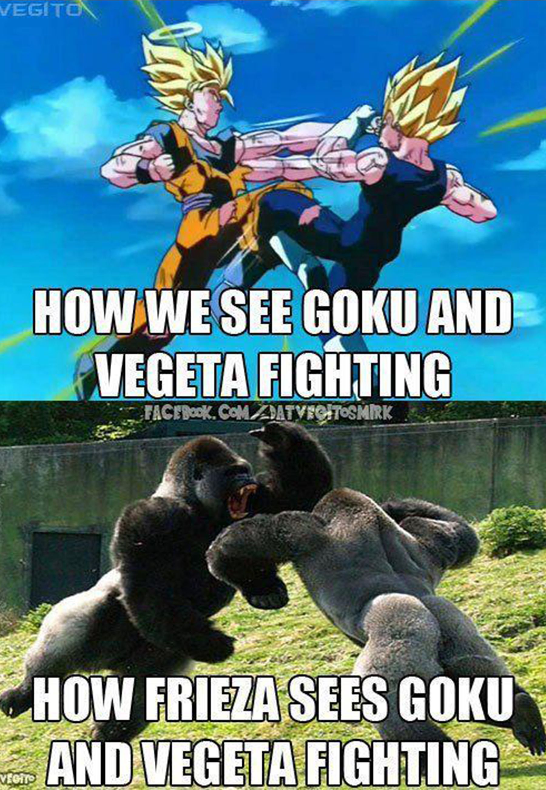 Funny Frieza Memes