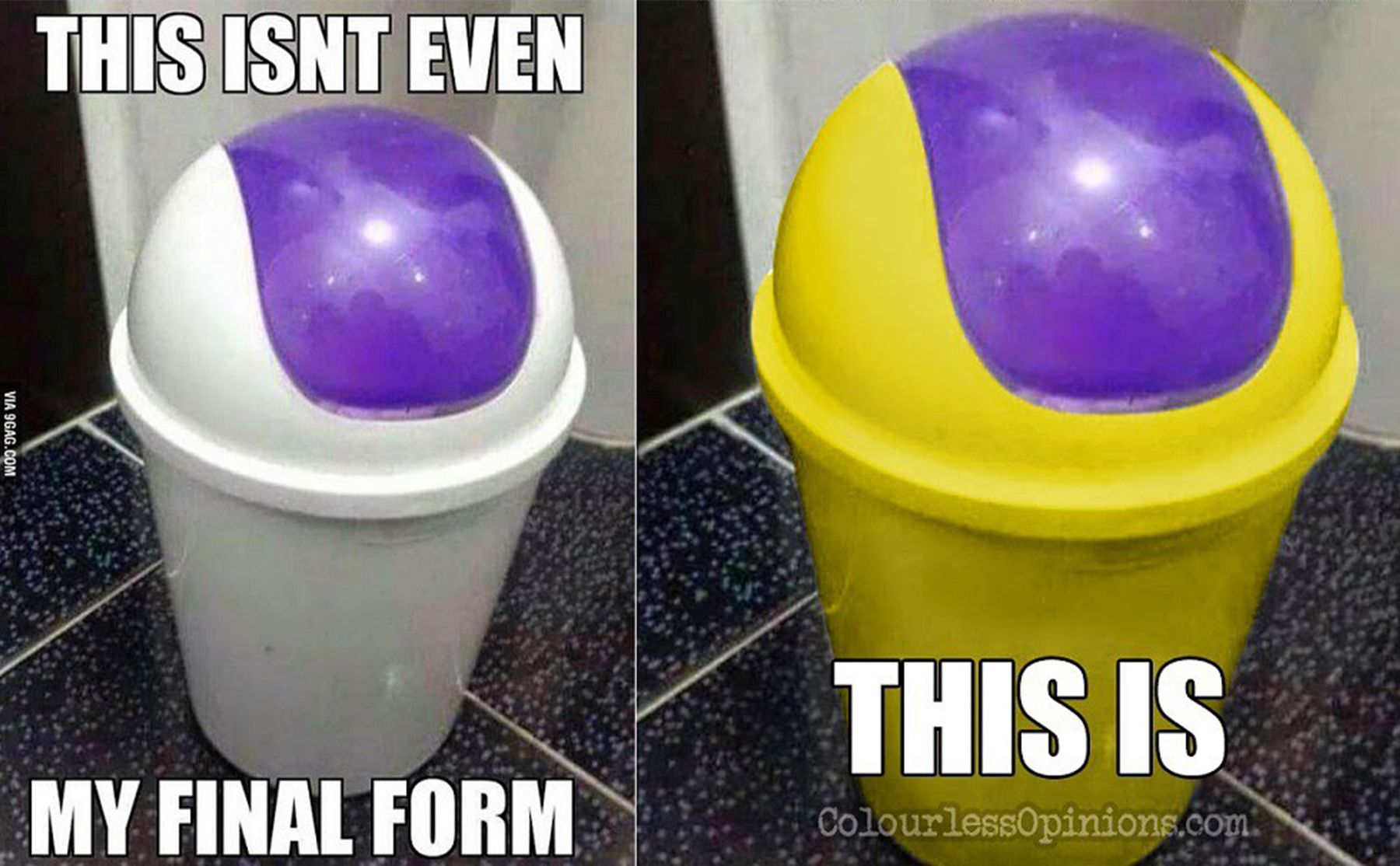 Final Forms: 20 Hilarious Dragon Ball Villain Memes