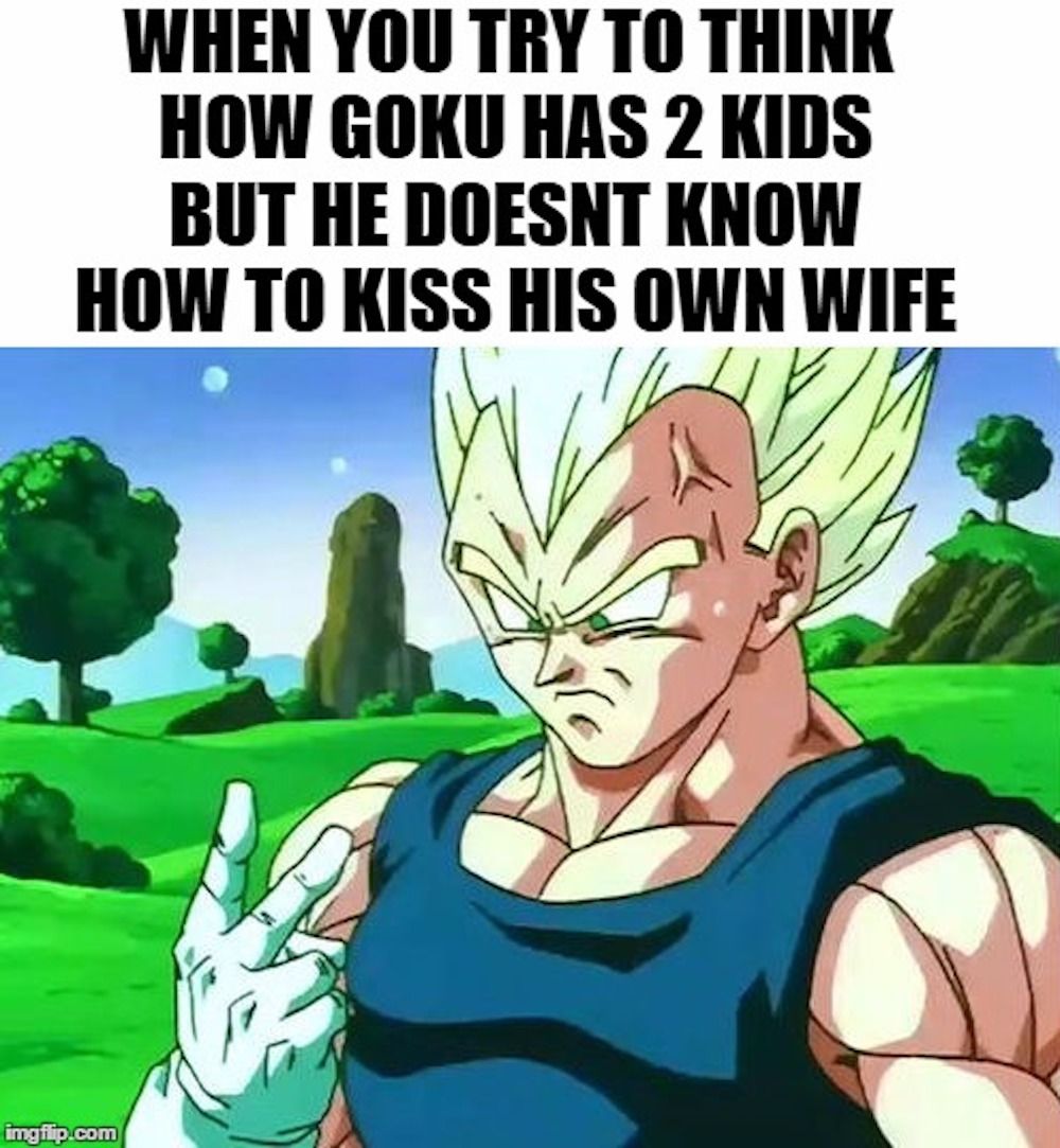 Dragon Ball: 16 Hilarious Goku Vs. Vegeta Memes