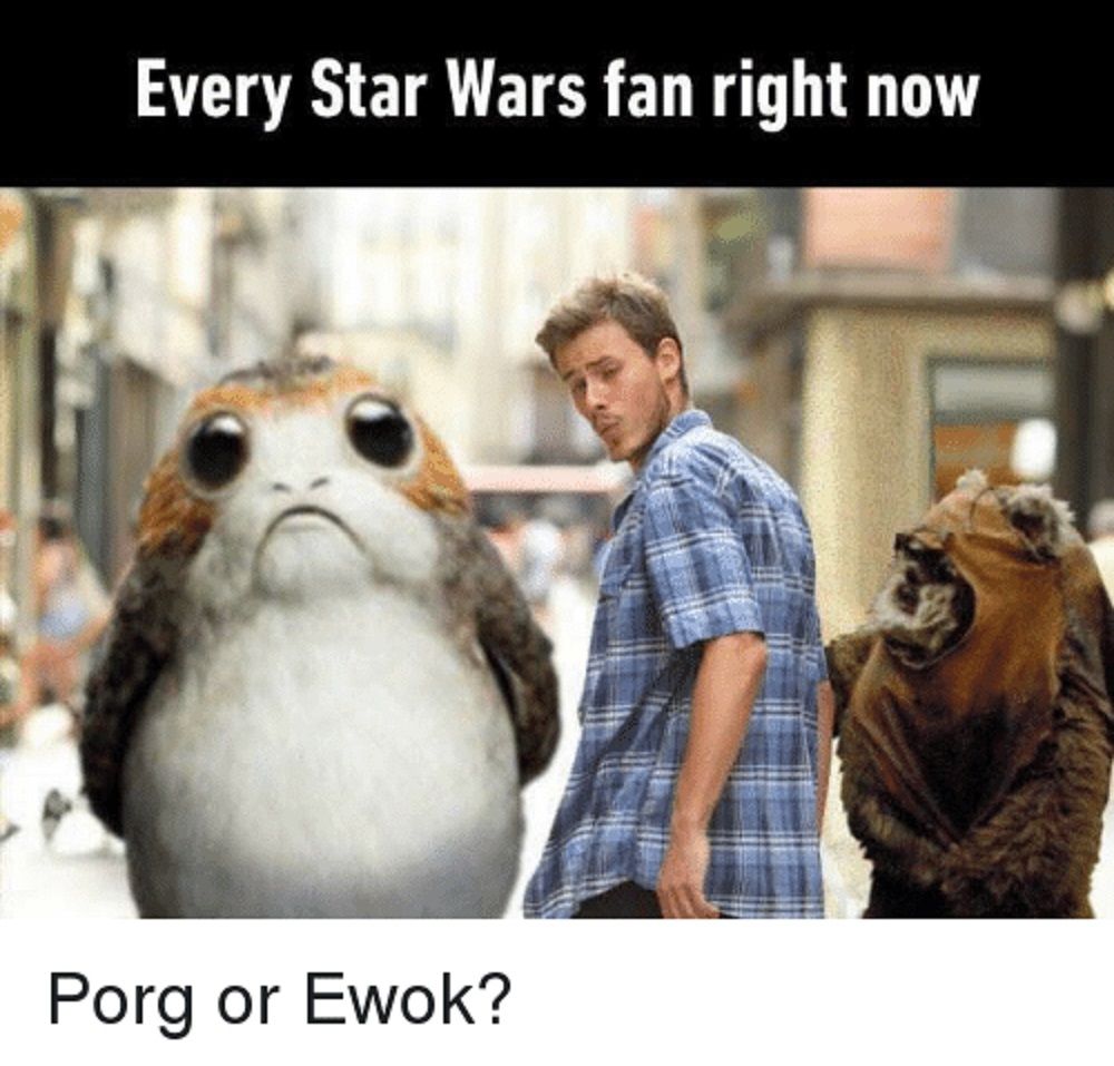 May The Porg Be With You: 15 Porg Memes That Broke The Internet