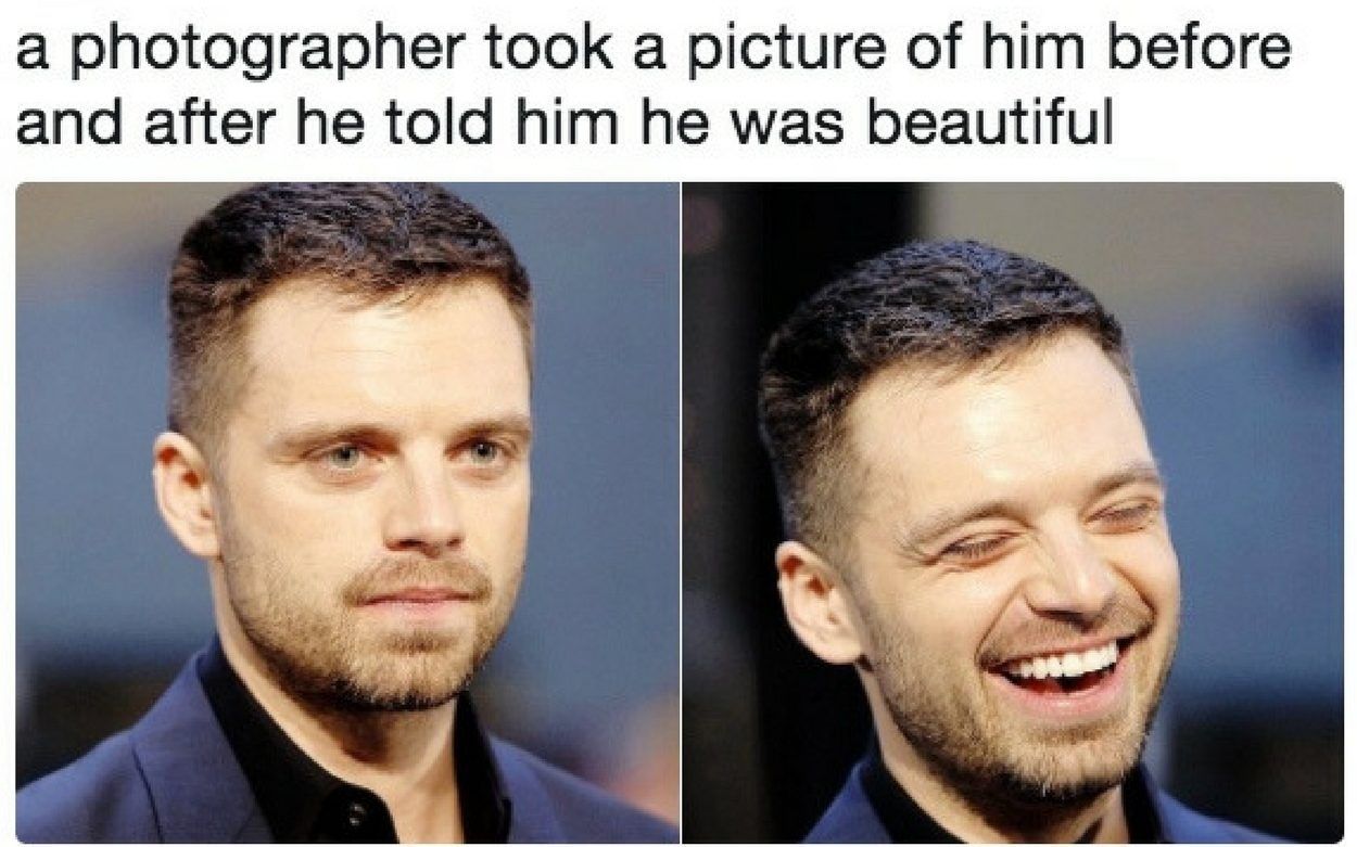 Sebastian Stan Memes