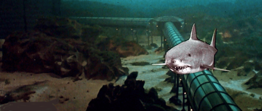 Jaws Created an Entire Film Subgenre (Which Its Sequels Killed)