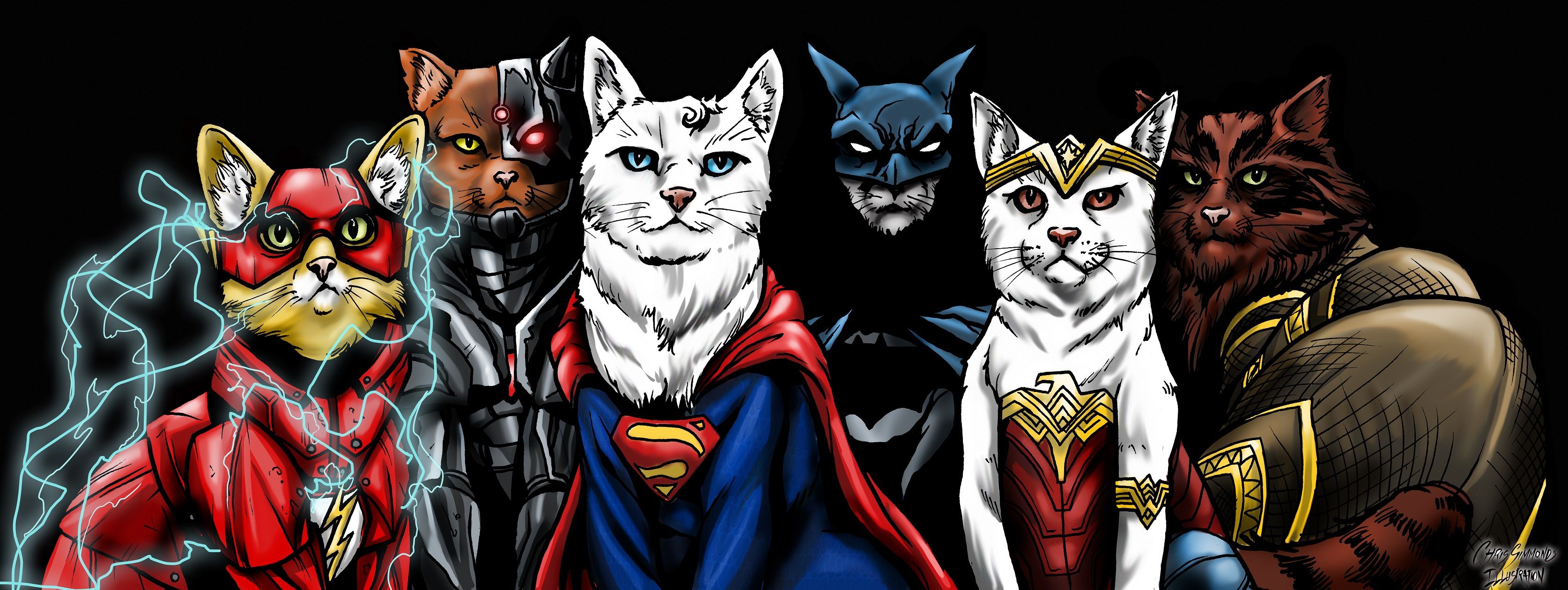 Cats Drawn as Superheroes Gallery