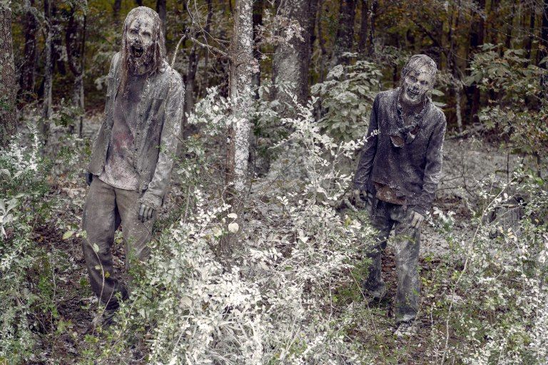 The Walking Dead Releases Snowy Season 9 Finale Photos