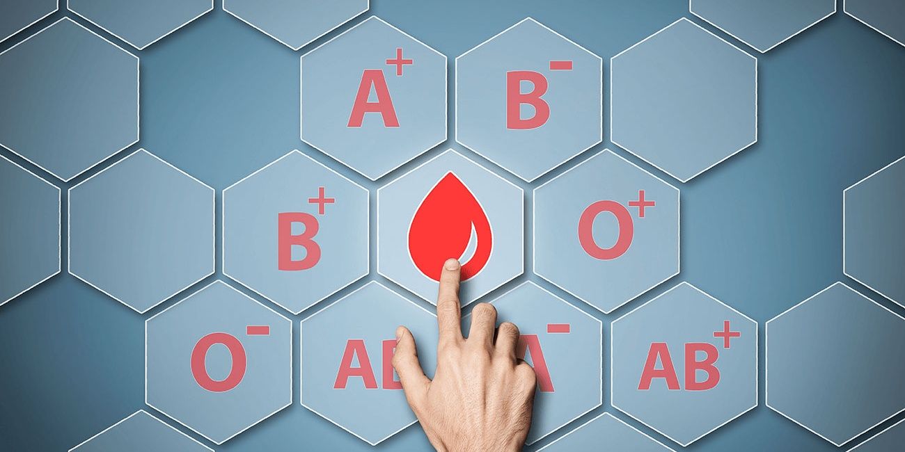 One Piece: 15 Things About Marco Fans Never Knew