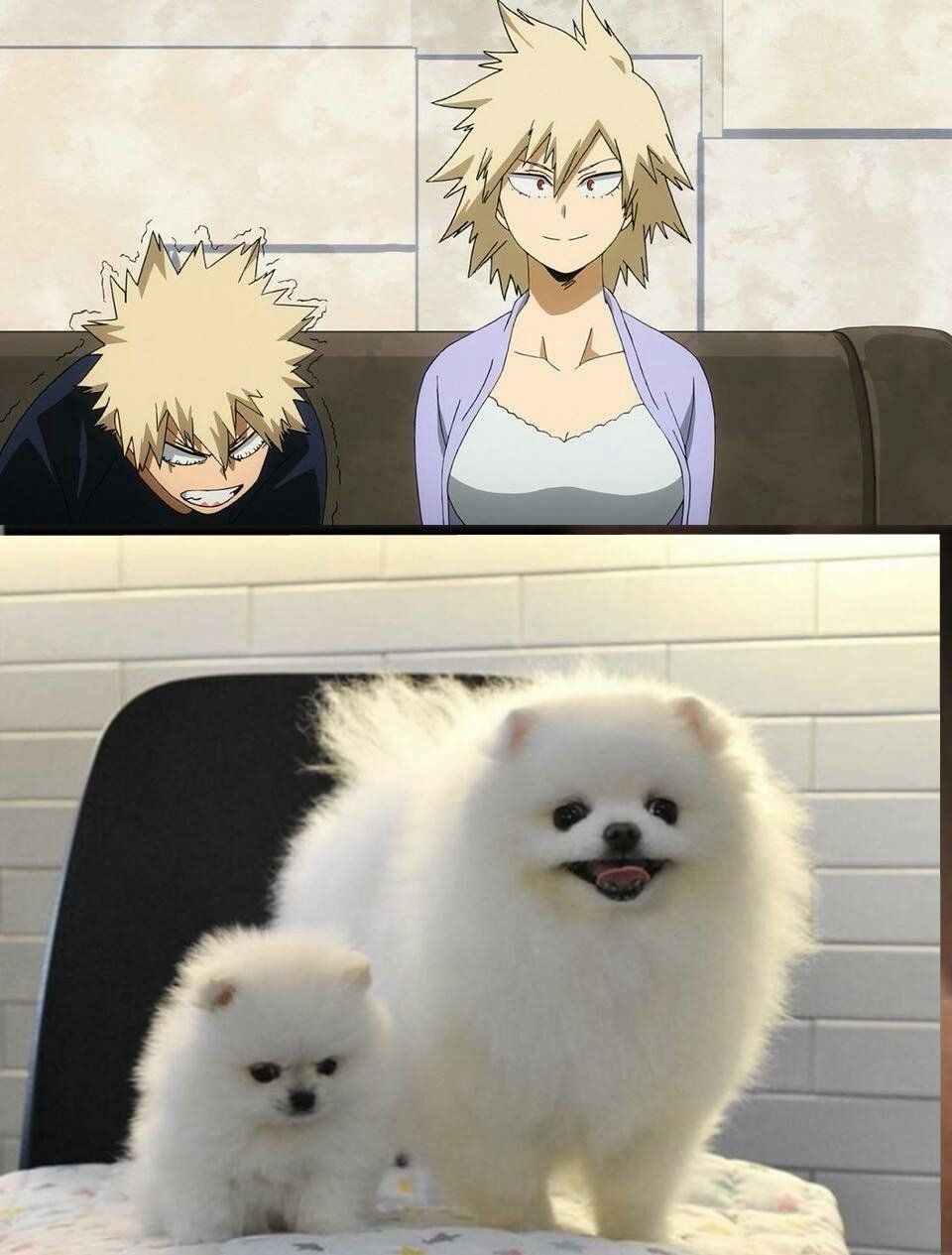 My Hero Academia: 10 Bakugo Memes That Are Almost As Explosive As He Is