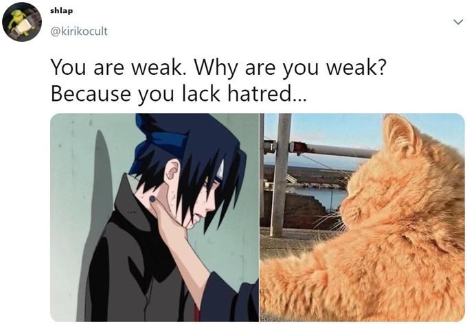 Which Anime Meme Ruled 2019: Surprised Pikachu or Sasuke Choke?