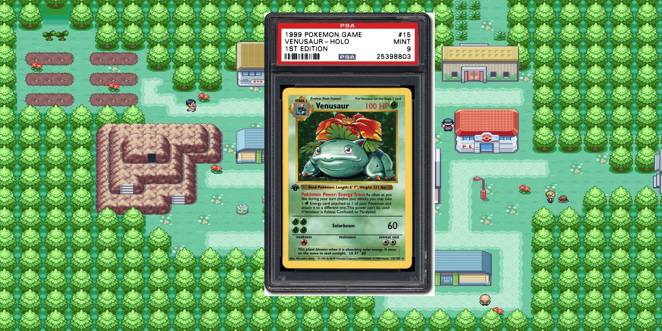 Pokémon TCG: The 10 Most Unbelievably Rare Gen 1 Cards That Are Worth A ...