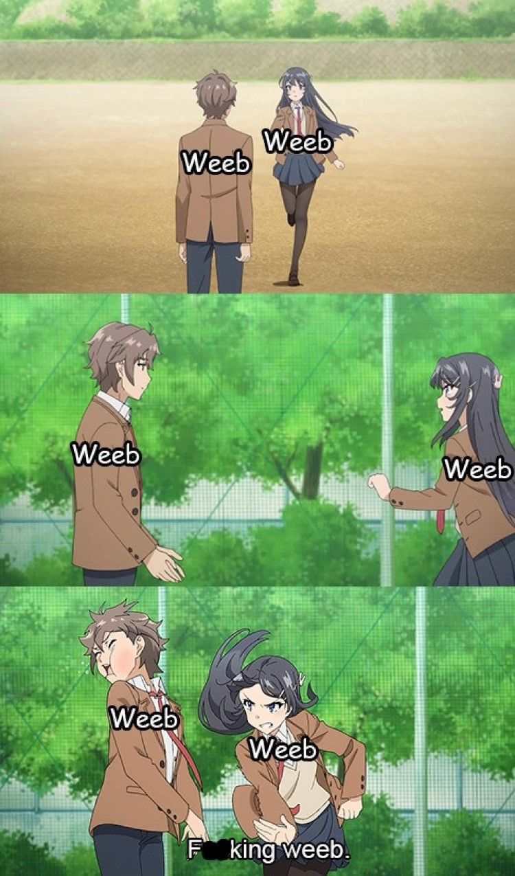 10 Rascal Does Not Dream Of Bunny Girl Senpai Memes That Are Too ...