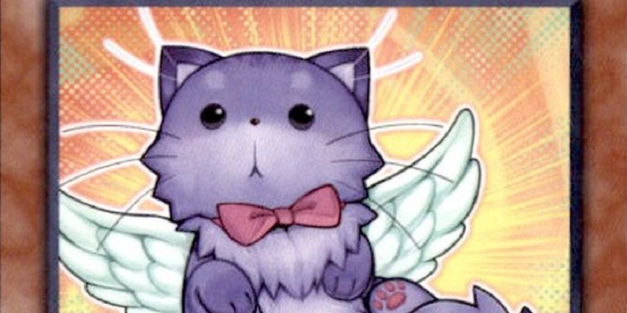 Yu-Gi-Oh!: 10 Best Fluffal Cards