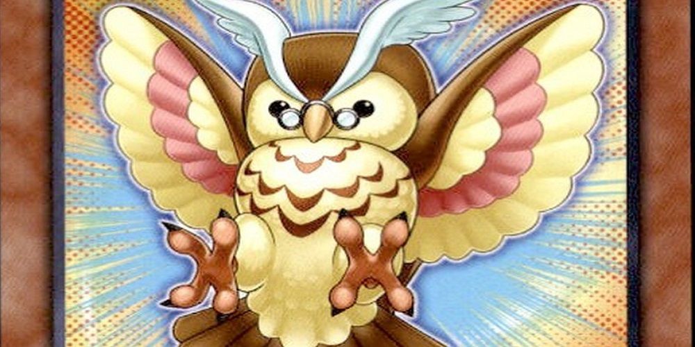 Yu-Gi-Oh!: 10 Best Fluffal Cards