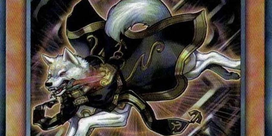 Yu-Gi-Oh: Best Lightsworn Cards