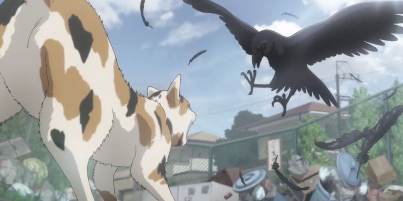 Haikyuu!!: 10 Things To Look For In Season 4