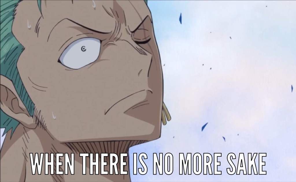 One Piece: 10 Roronoa Zoro Memes Only True Fans Will Understand