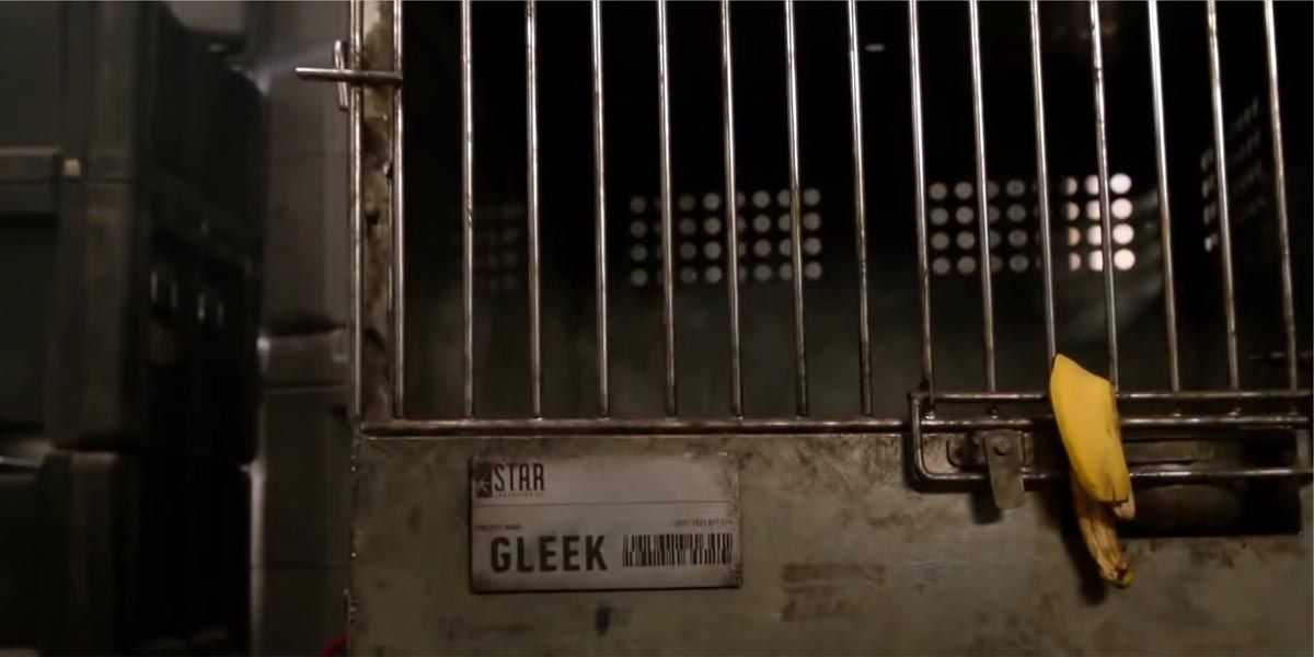 Crisis on Infinite Earths: Who (or What) Is Gleek?