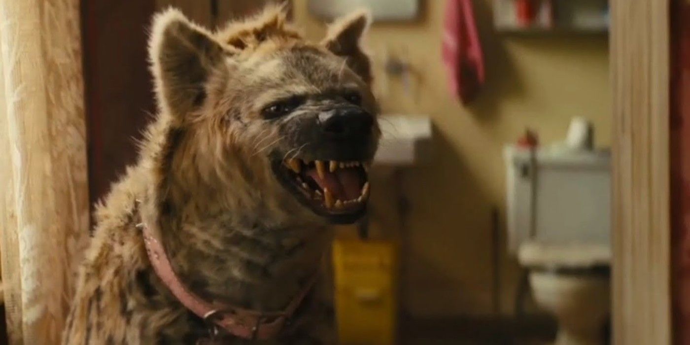 DC: 10 Things You Didn’t Know About Harley Quinn’s Pet Hyenas