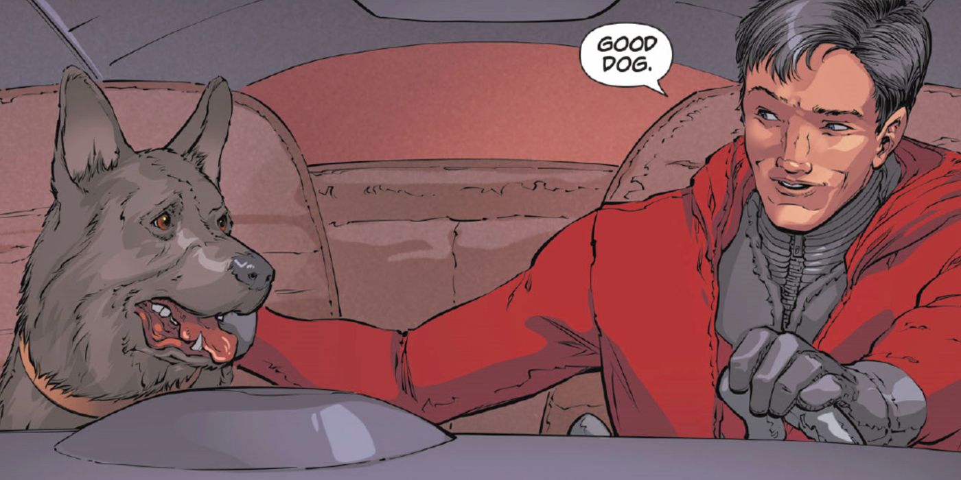 Nightwing: 8 Things You Didn't Know About Bitewing