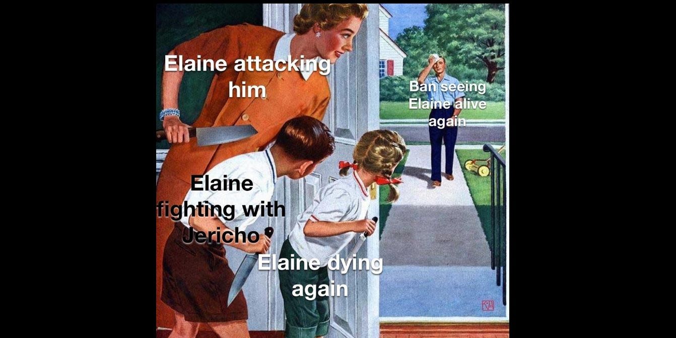 Alayne Memes