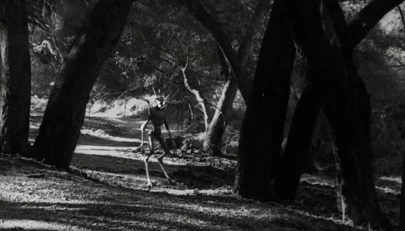 American Horror Story: The Themes That Should be Explored in Future Seasons