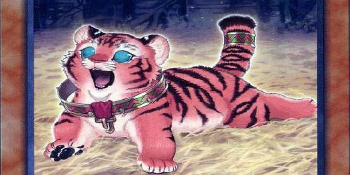 Yu-Gi-Oh: 10 Best Amazoness Cards