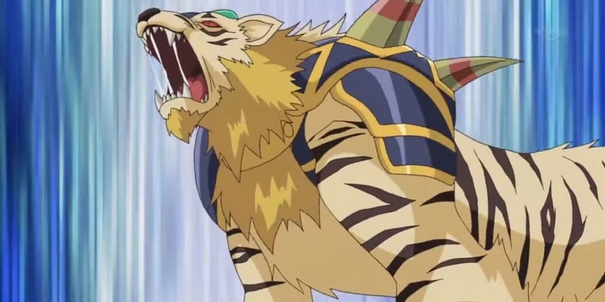 Yu-Gi-Oh: 10 Best Amazoness Cards