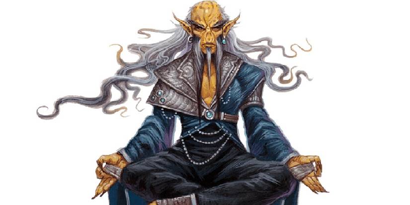 What Are The Best DnD Races For Clerics?