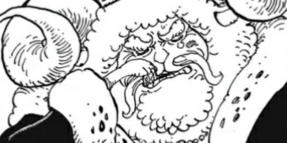 One Piece: 10 Strongest Mink Tribe Members