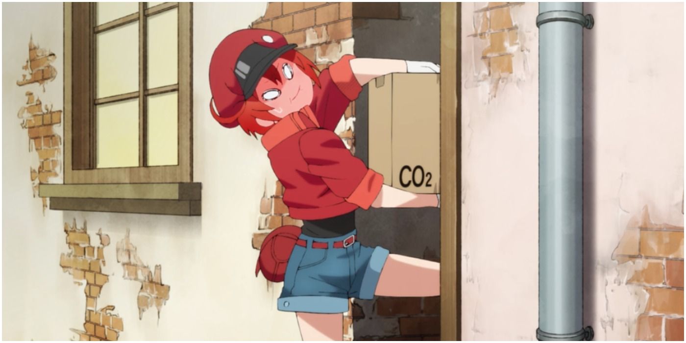 Cells at Work!: 5 Things That Definitely Don't Happen Inside the Body ...