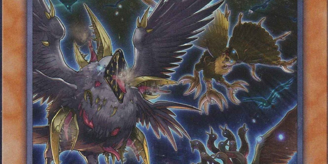 Yu-Gi-Oh: Best Vendread Cards