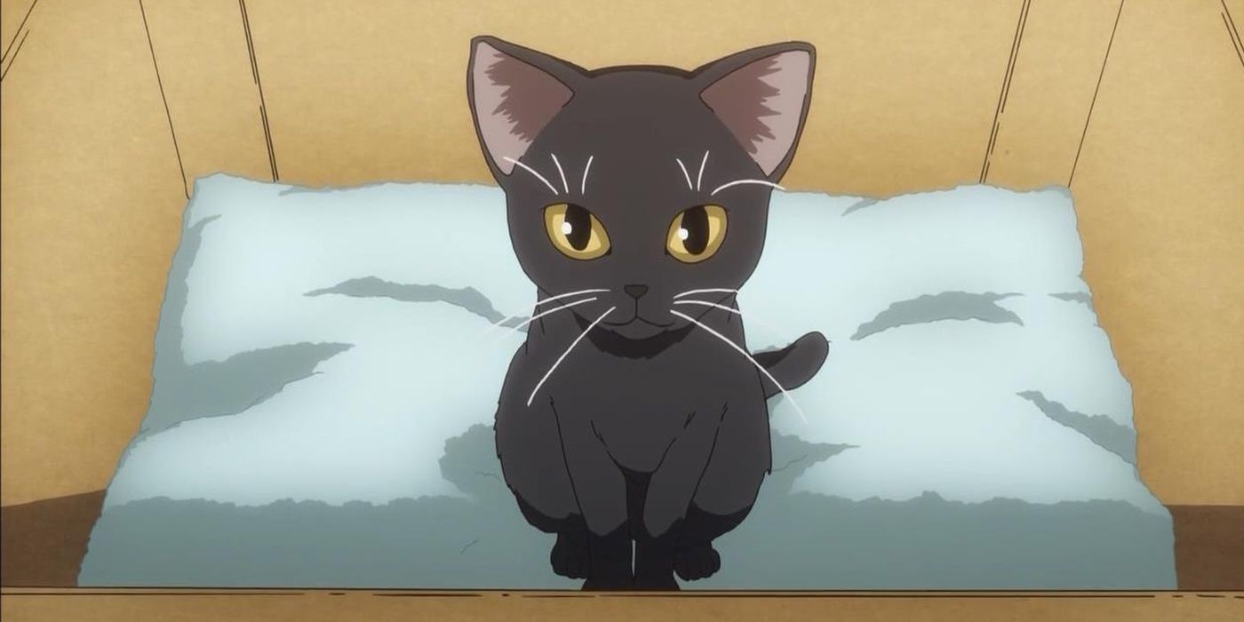 A Certain Scientific Railgun: 10 Things You Never Knew About Mikoto Misaka