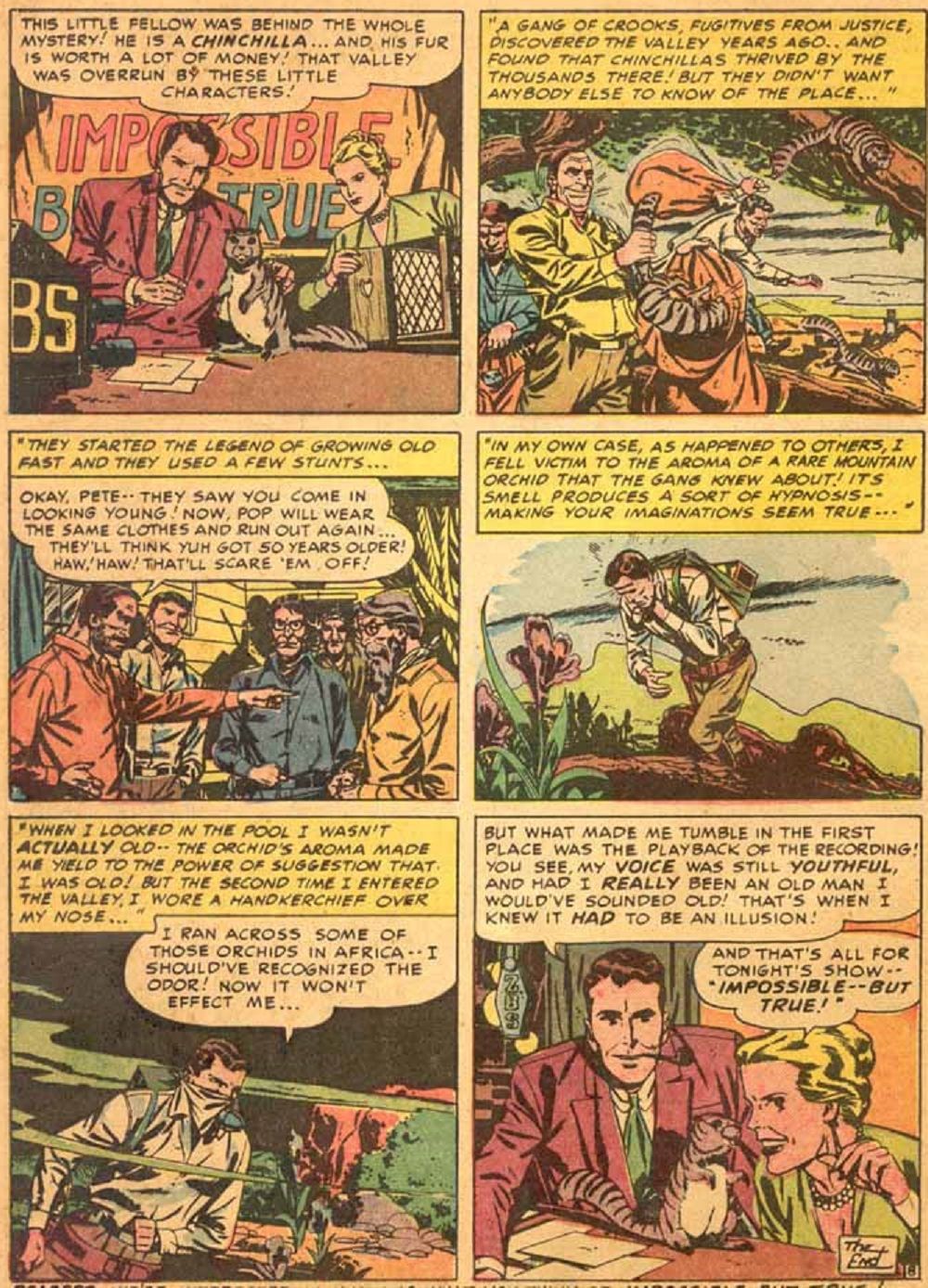 Doctor Thirteen Expanded DC Comics' Skeptic Game