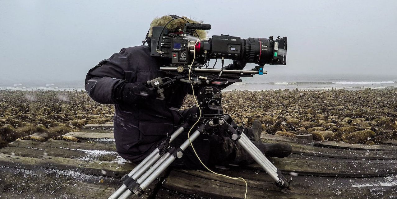 The Best Documentaries Now Streaming on Netflix