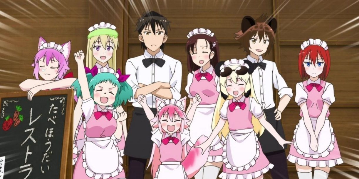 10 Things That Don't Make Sense About Seton Academy: Join The Pack