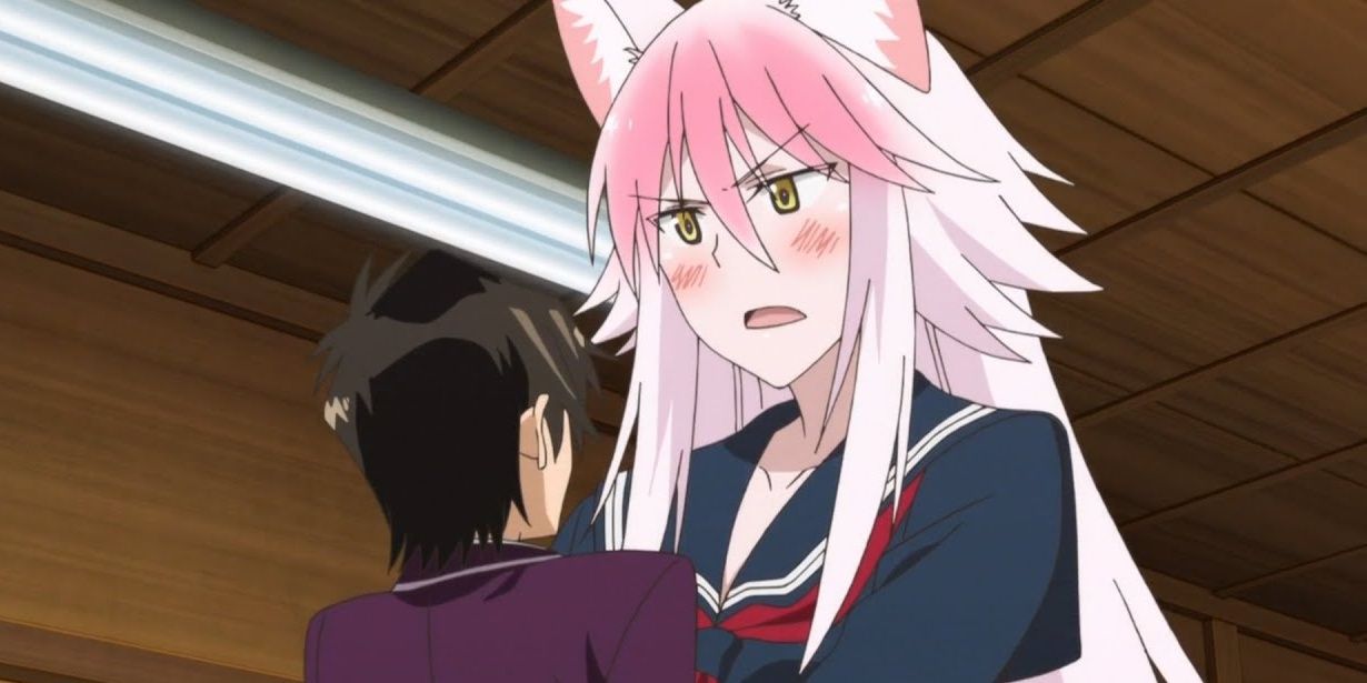 10 Things That Don't Make Sense About Seton Academy: Join The Pack