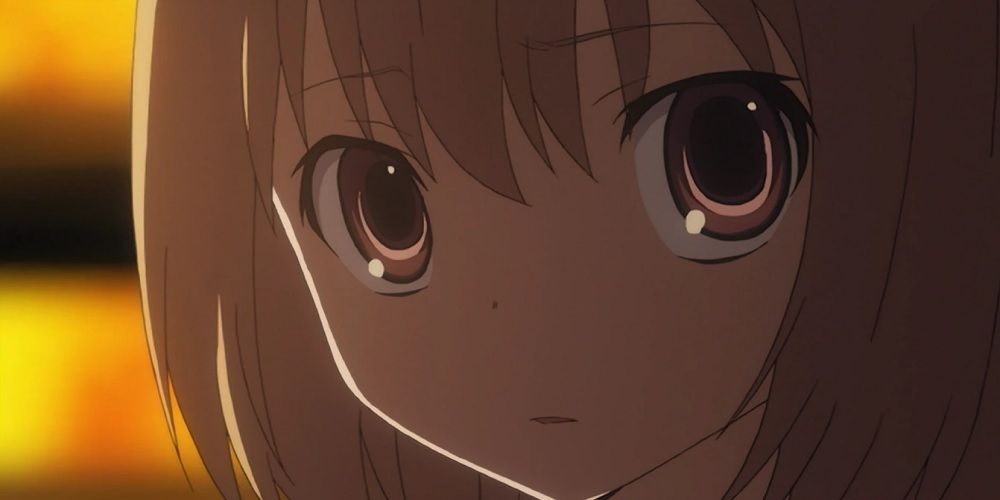 The Top 10 Toradora! Episodes, Ranked (According To IMDb)