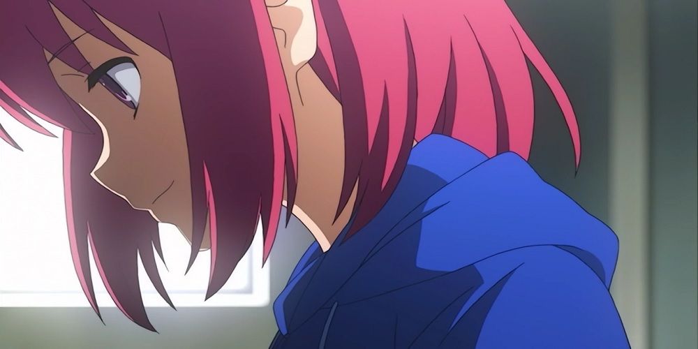 The Top 10 Toradora! Episodes, Ranked (According To IMDb)