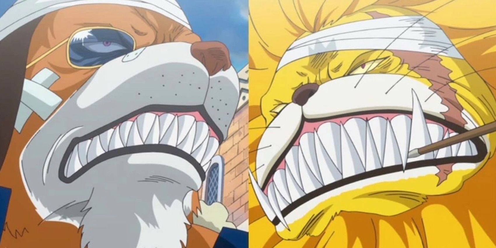 One Piece: 10 Things You Didn't Know About The Minks Race