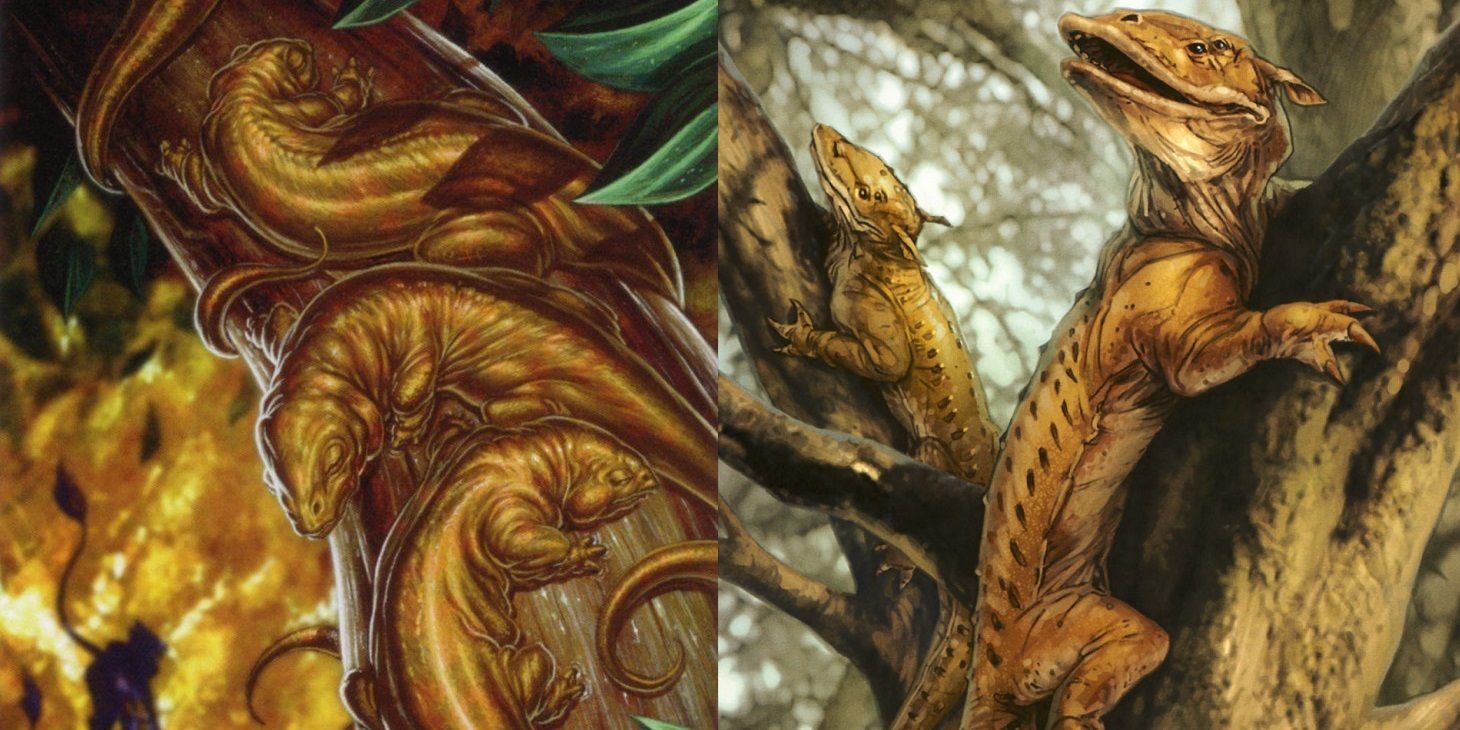 Star Wars: 10 Force-Sensitive Creatures