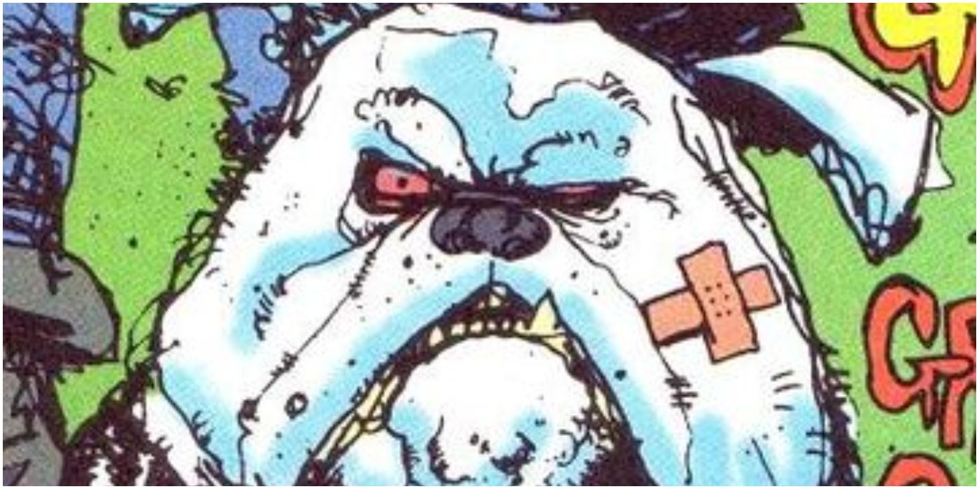 DC: The 10 Strongest Pets, Ranked
