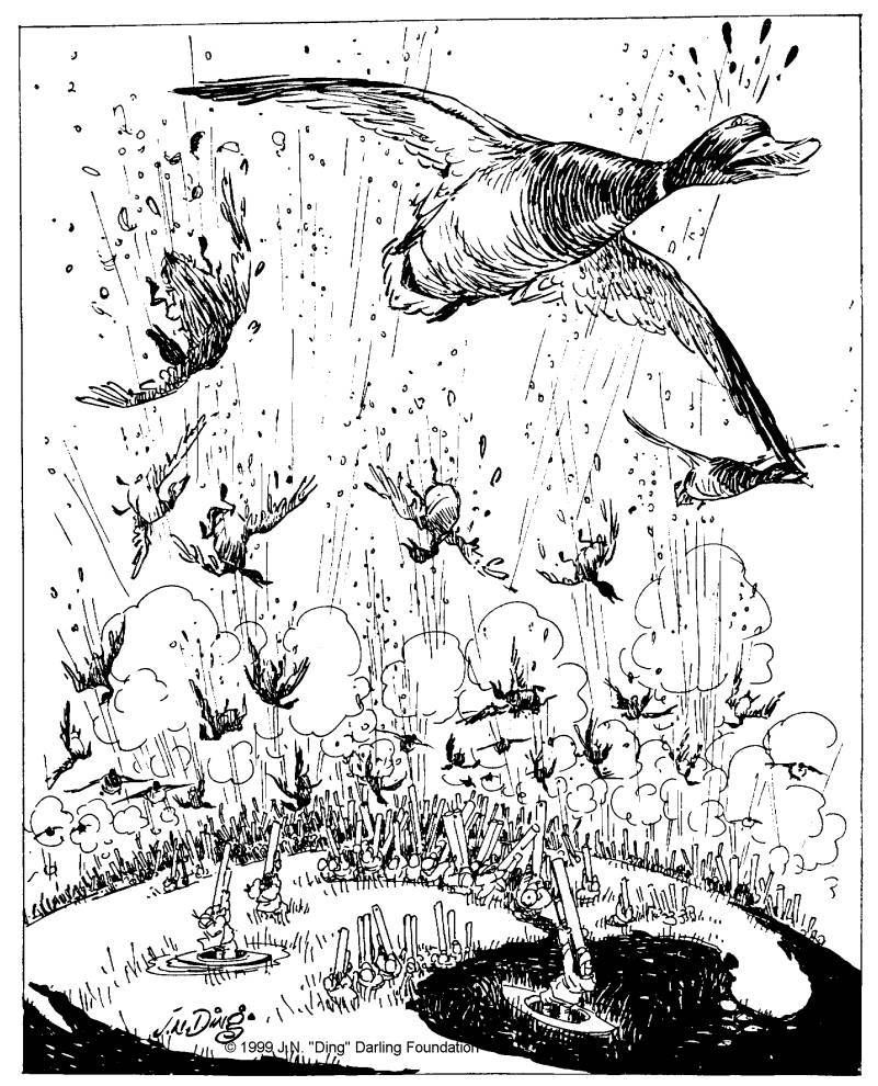 The Pulitzer-Winning Cartoon That Touted Herbert Hoover's Economist Skills