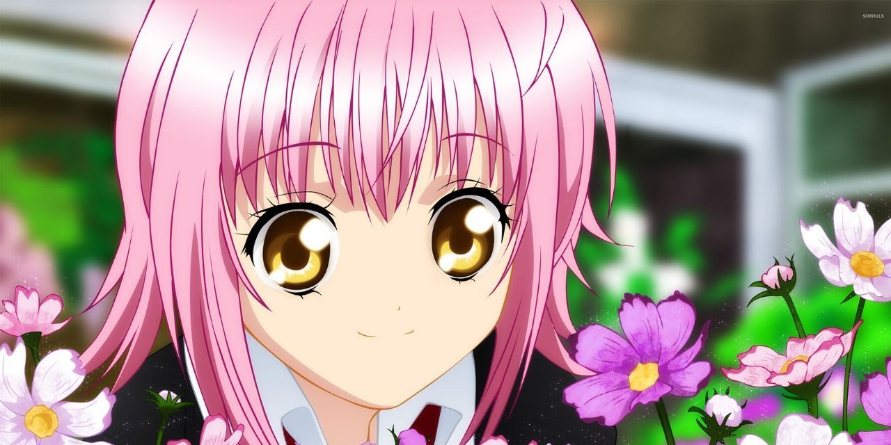 Shugo Chara!: 10 Facts You Didn't Know About Amu Hinamori