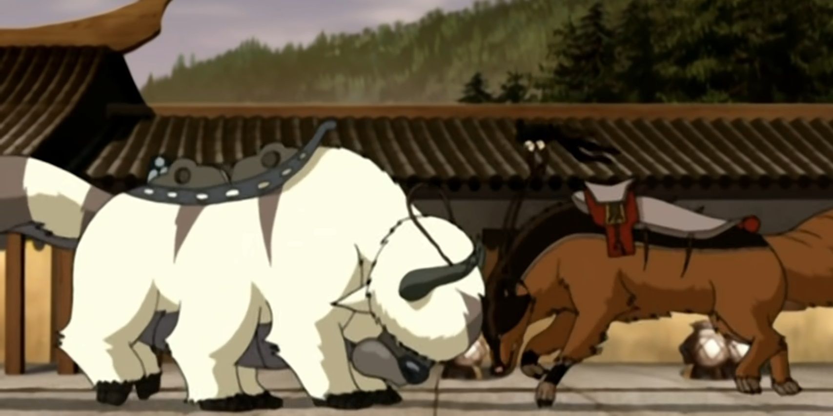 Avatar: The Last Airbender - Appa Vs. Naga: Who Is The Better Spirit ...